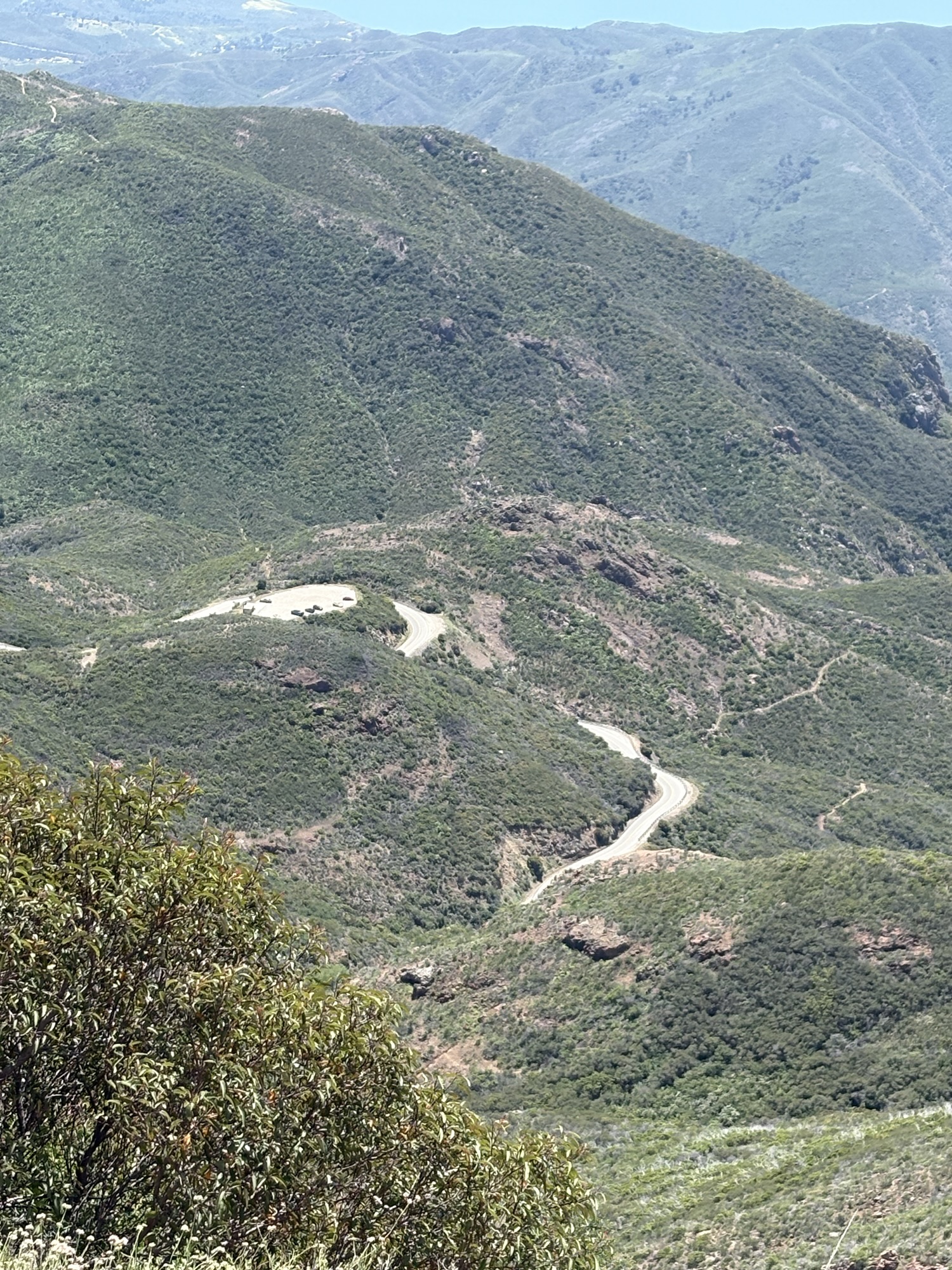 To Nature – Garden Imperfect Plants